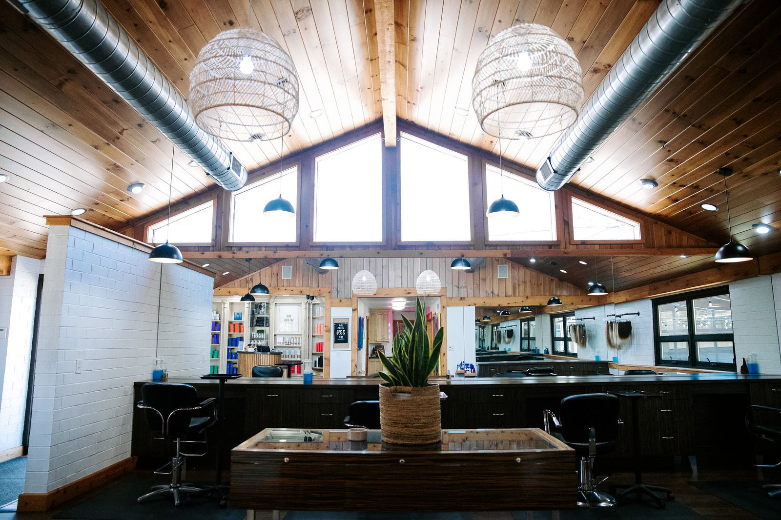 The Studio Collective